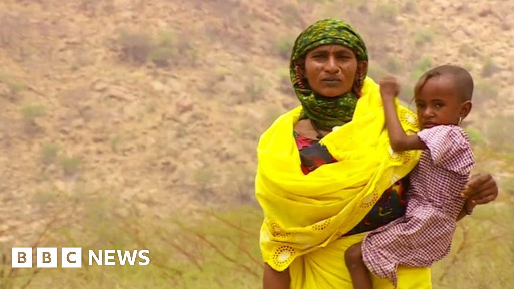 Millennium Development Goals: Poverty grips Chad 15 years on - BBC News