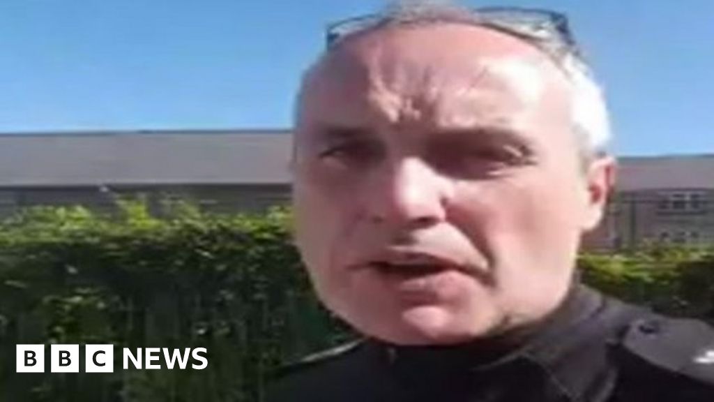 'When will these sheep attacks end?' - BBC News