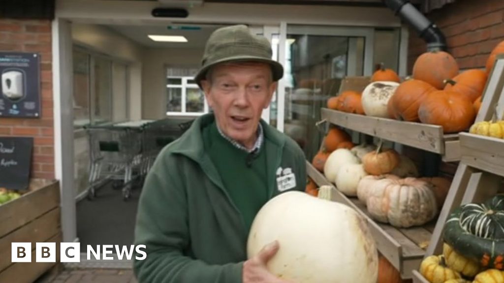 Wolverhampton pumpkin patch production plumps seven fold for Halloween ...