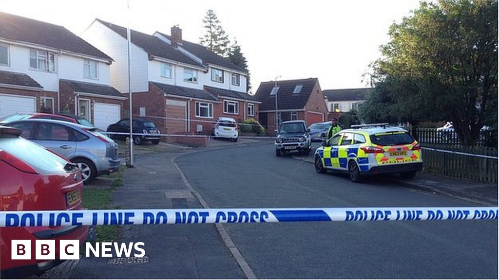 Father of murder accused Brett Rogers tells of attack - BBC News