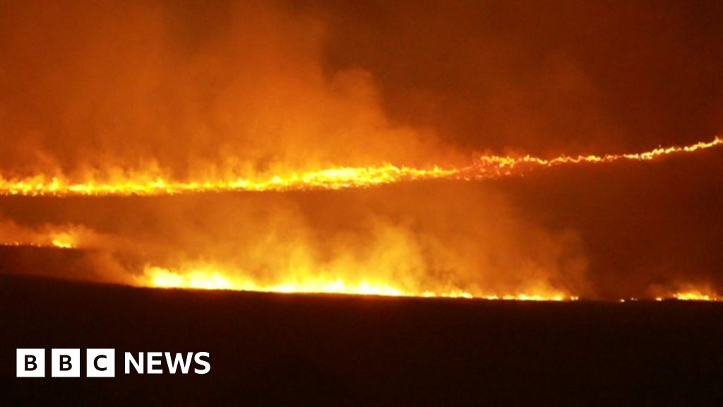 NI Fire Service warns of 'devastating impact' of wildfires - BBC News