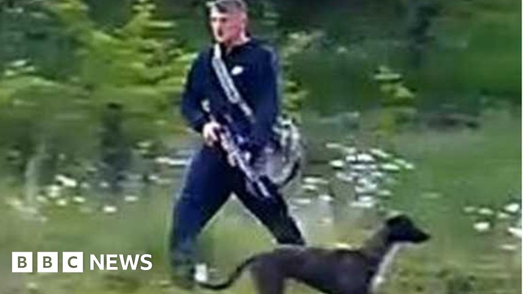 Leeds swans shot dead: Police hunt man seen with rifle - BBC News