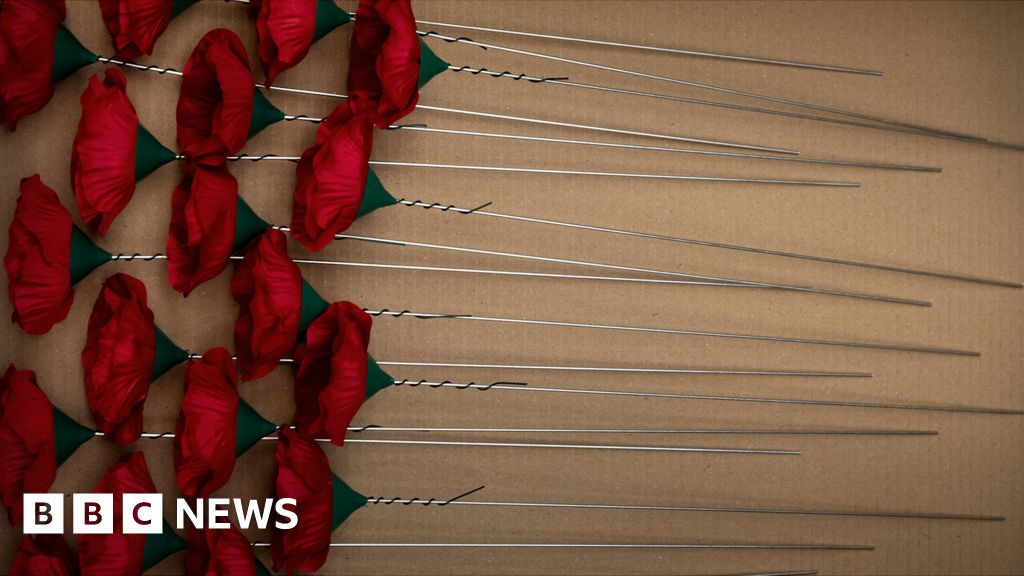 In Pictures: Inside Lady Haig's Poppy Factory - BBC News