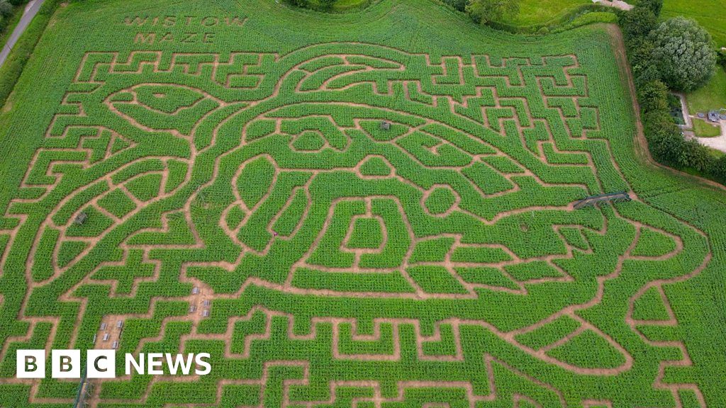 Wistow Maze: Attraction in shape of a sea turtle set to open - BBC News