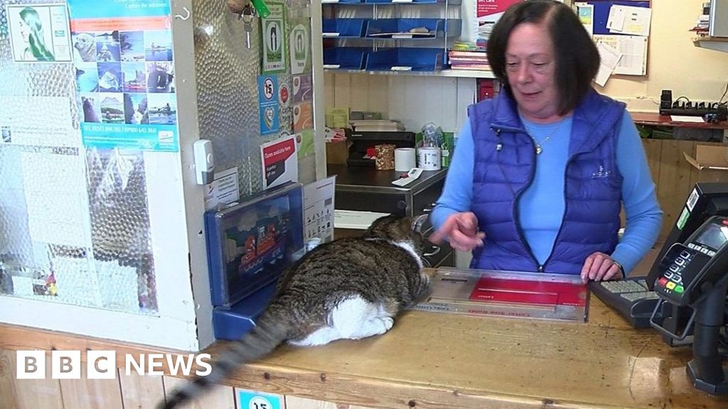 Grumpy Lochinver post office cat retires after 22 years - BBC News