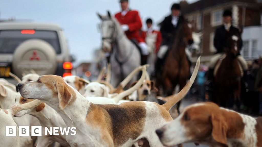 May drops planned fox-hunting vote after election 'message' - BBC News