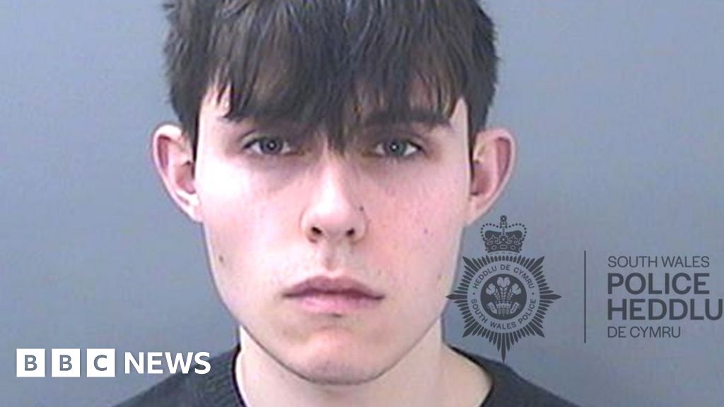 Ex-RAF cadet behind Nazi graffiti named as Aristedes Haynes - BBC News