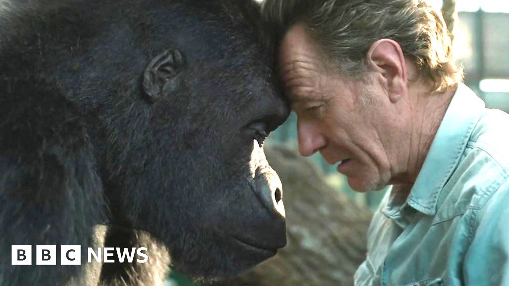 The One and Only Ivan: How we brought the animals to life