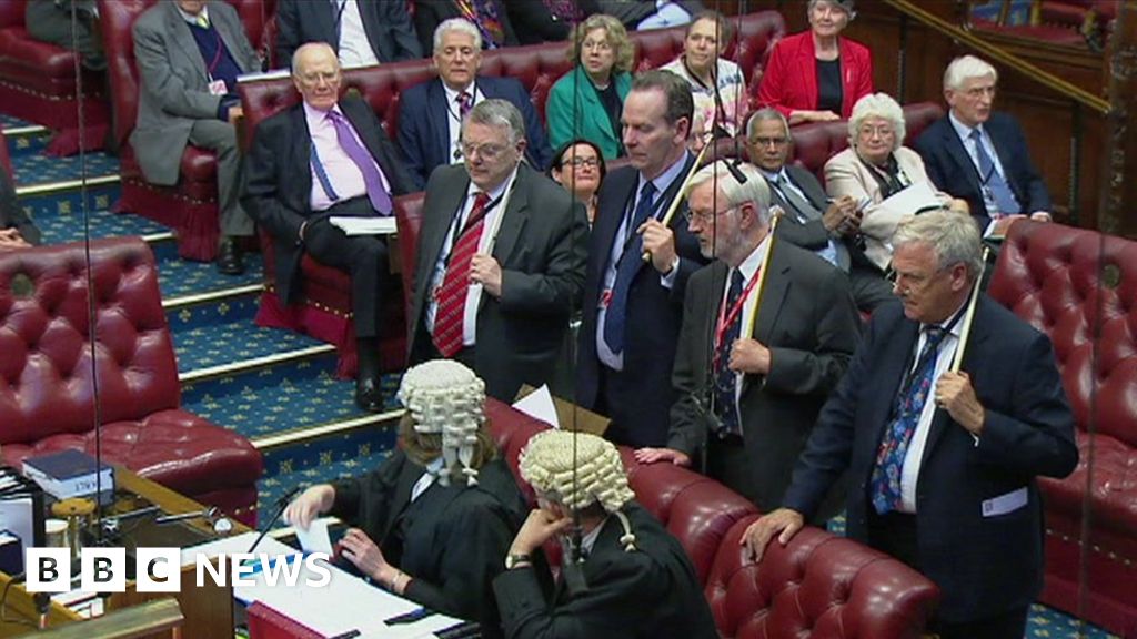 What's on in Parliament? - BBC News