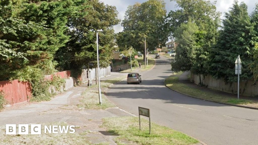Tilehurst murder inquiry after man hit by van dies in hospital - BBC News