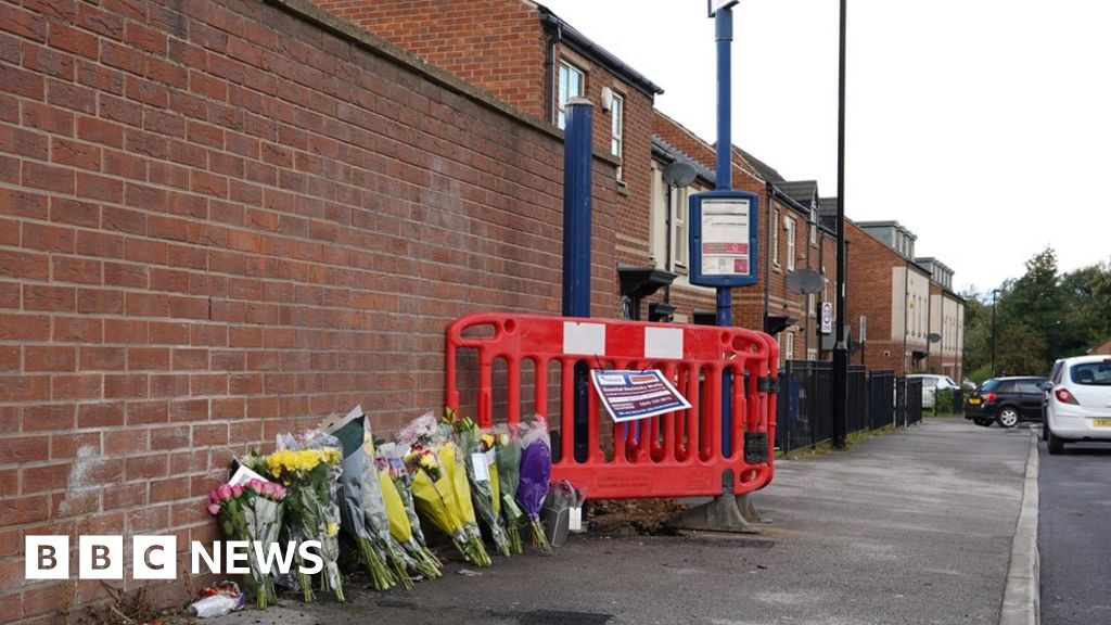 Arrests after woman killed by car at Sheffield bus stop - BBC News