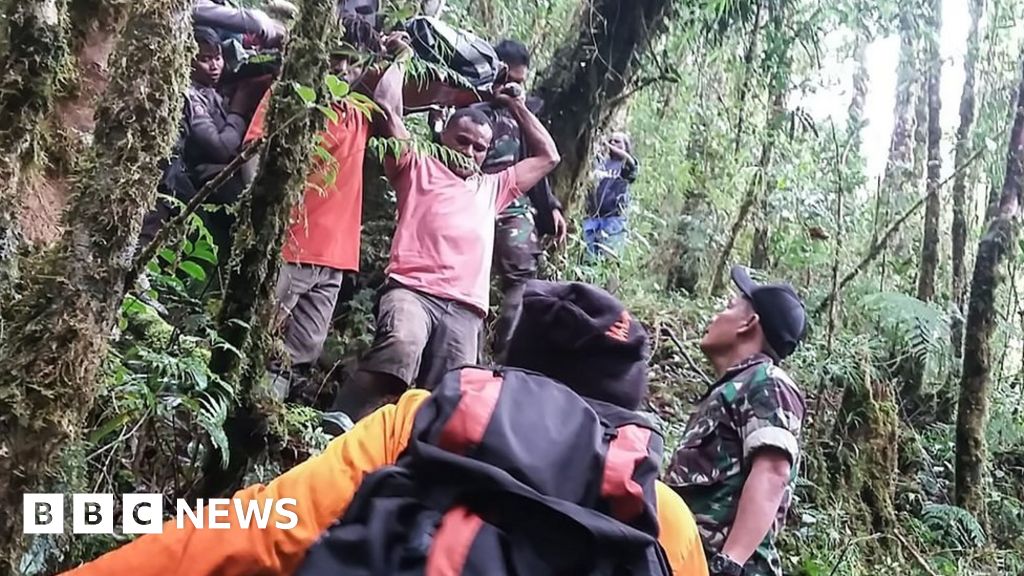 Indonesia plane crash: Boy, 12, survives Papua accident