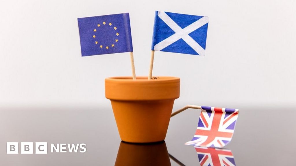 Using Brexit to make the case for Scottish independence - BBC News