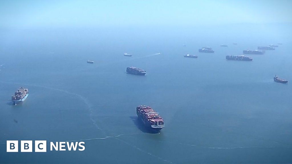 Cargo ships forced to queue at busy California port