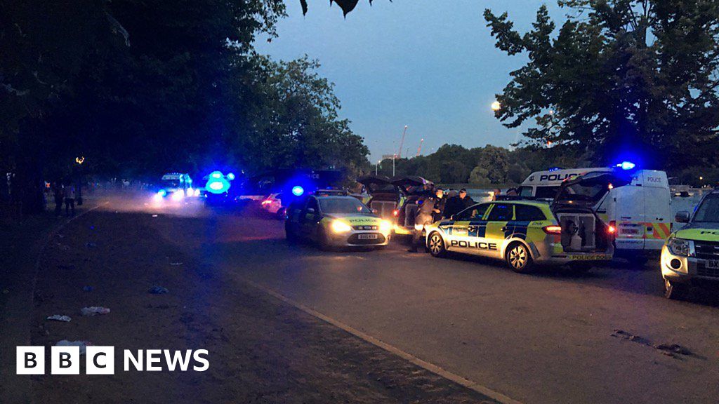 Hyde Park water fight descends into violence - BBC News