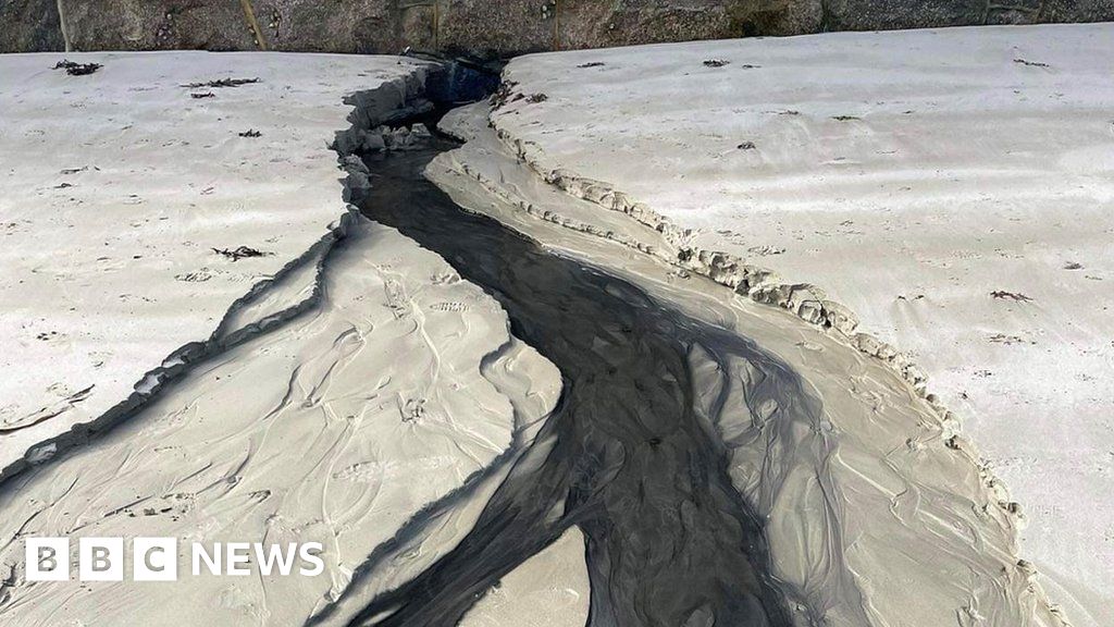 Black sea water probably rotting seaweed - States - BBC News