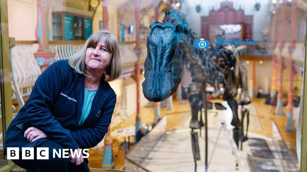 Face to face with Dippy the dinosaur - BBC News