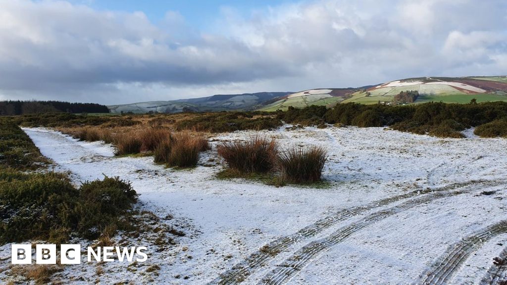 Wales snow: Parts of Wales dusted with snow overnight - BBC News
