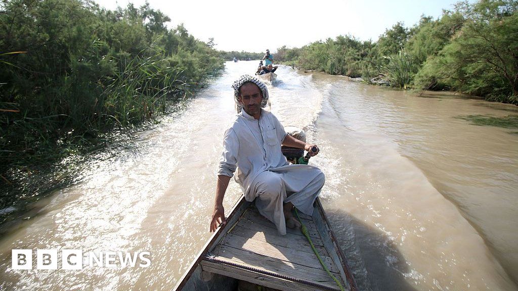 Iraq marshlands named Unesco World Heritage Site - BBC News