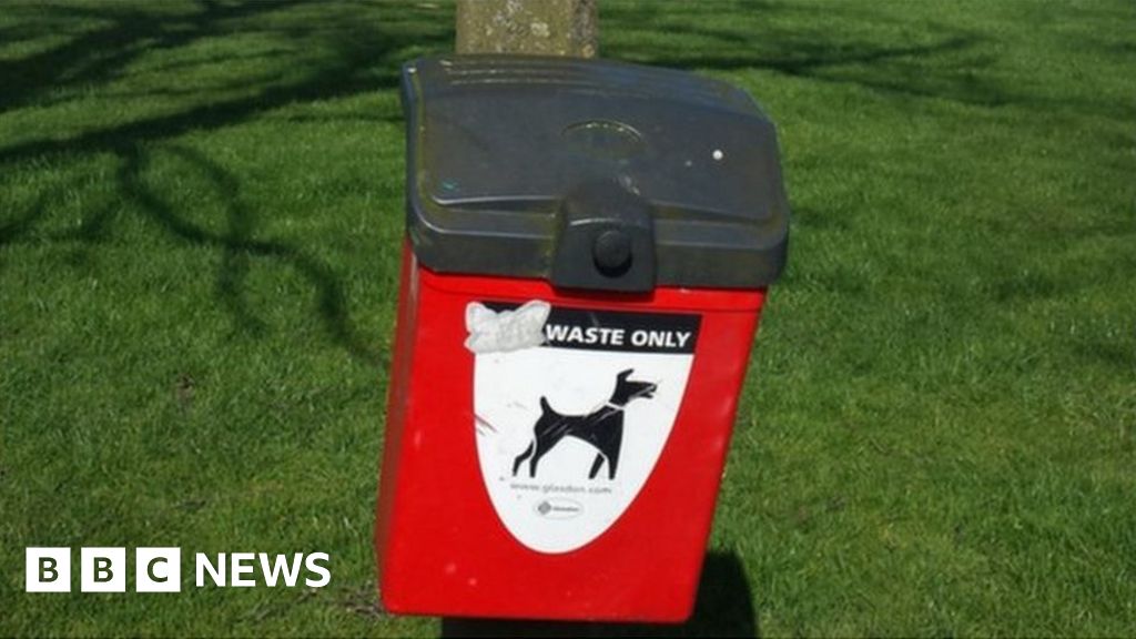 Darlington council asks people to report dog poo via app - BBC News