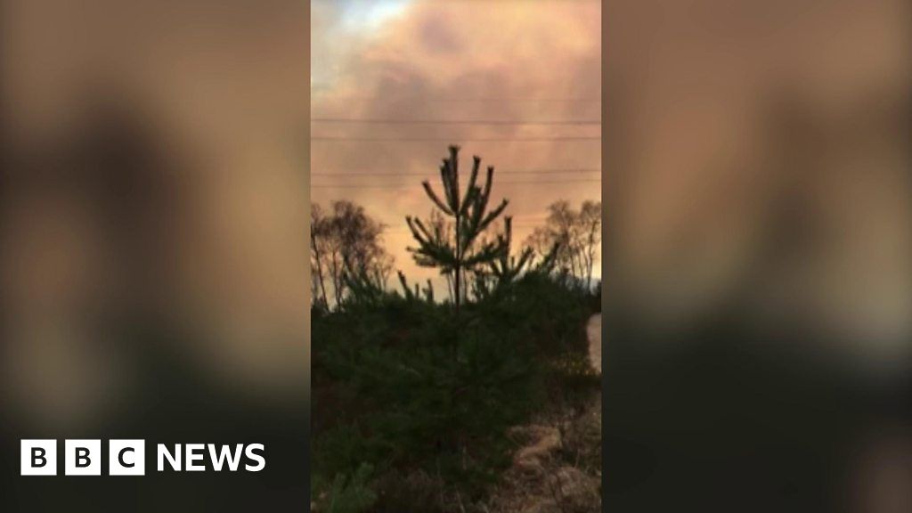 Chobham Common fire: Large blaze engulfs nature reserve