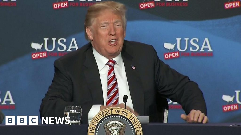 President Trump praises 'big, successful hit' in Syria