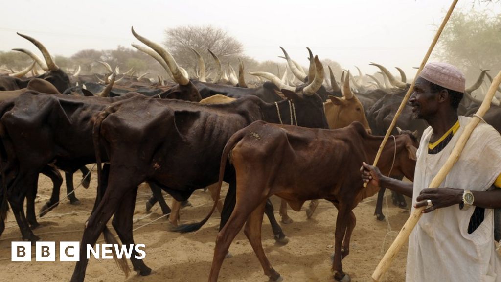 Nigeria grazing ban to stop deadly cattle wars