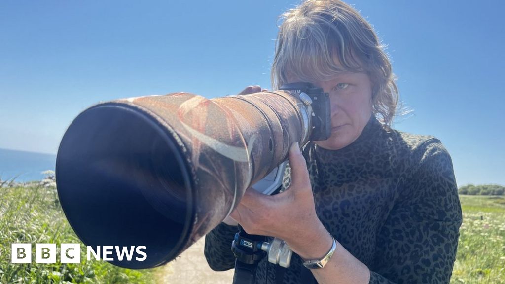 Wildlife lovers' joy at Bempton Cliffs summer bird spectacle - BBC News