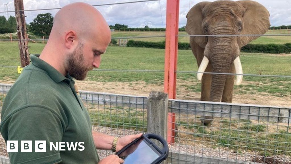 Somerset zoo uses app to improve welfare of elephants