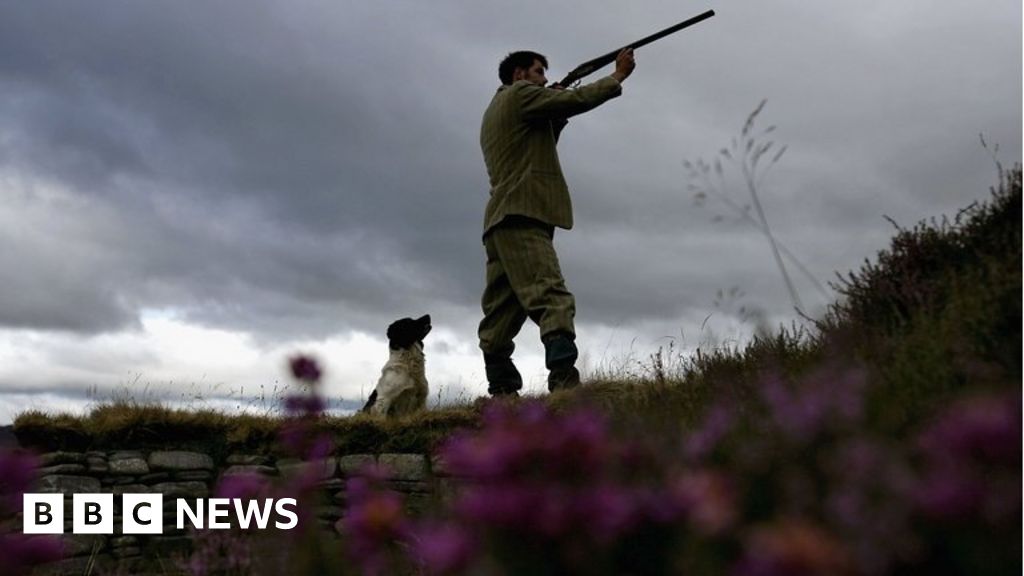 Grouse group highlights 'benefits' - BBC News