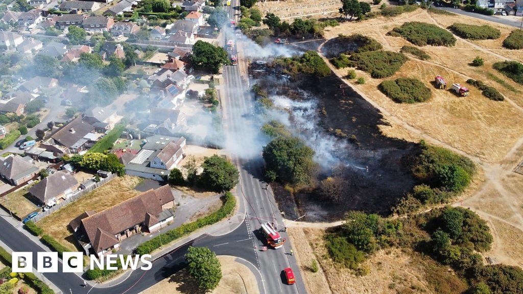 Aerial video shows firefighters tackle New Forest common fire - BBC News