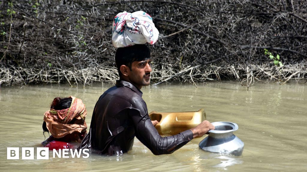 COP27: 'We'd never seen this much water' - Pakistan flood survivors ...