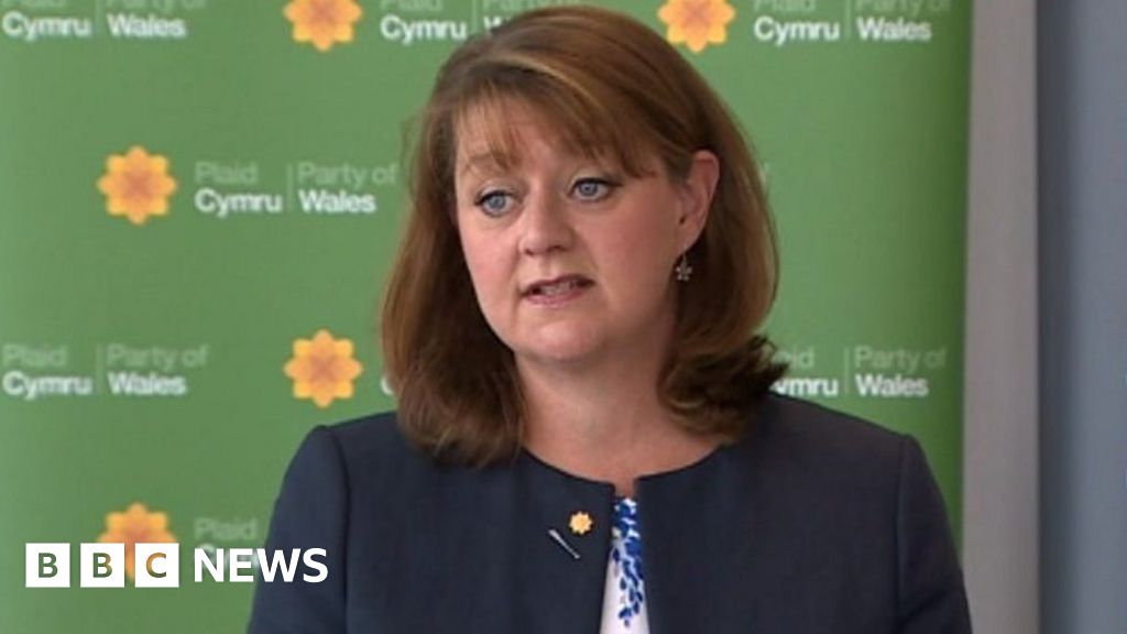 Plaid Cymru's Leanne Wood 'angry' over her lack of Welsh - BBC News