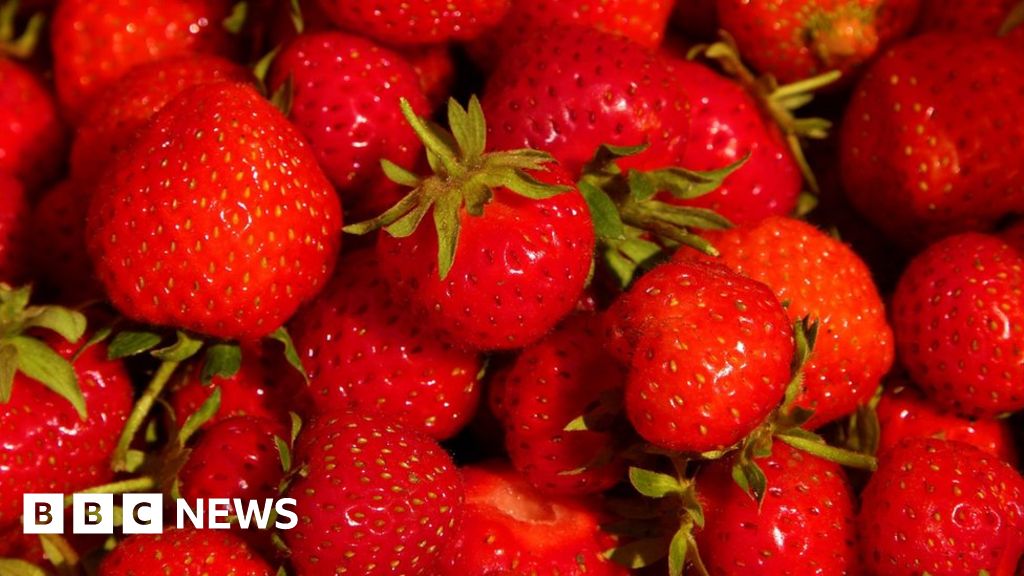 Wet and cold May leads to fruit crop delay - BBC News