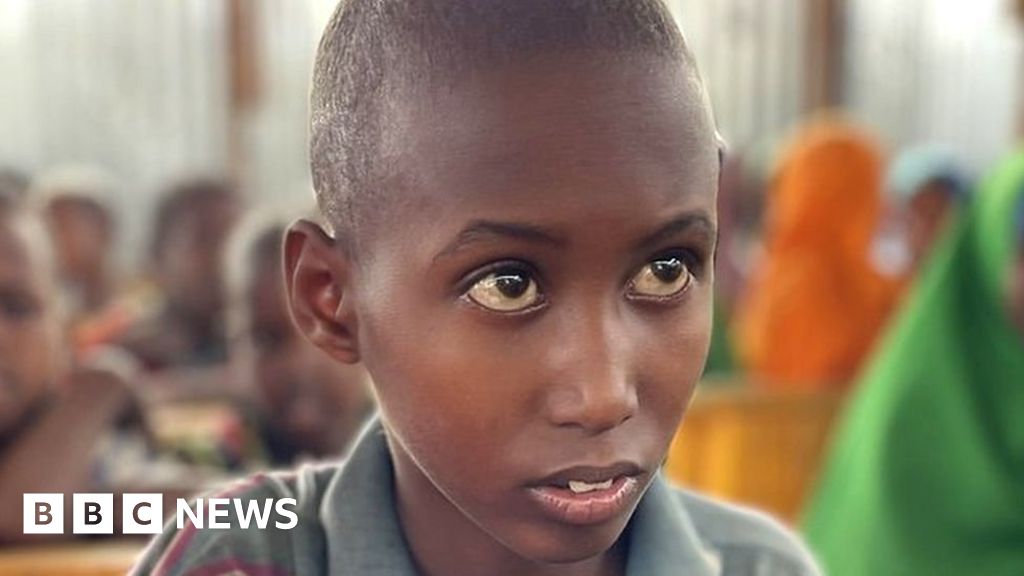 Somalia drought: One boy's fight to save his family from starvation - BBC News