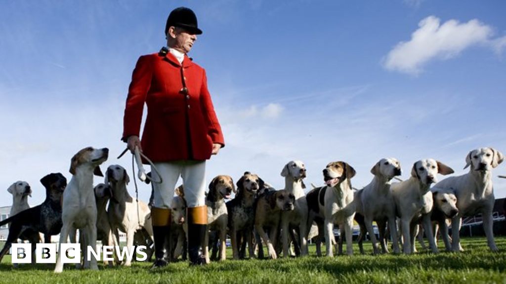 MPs to vote next week on changes to fox hunting laws - BBC News