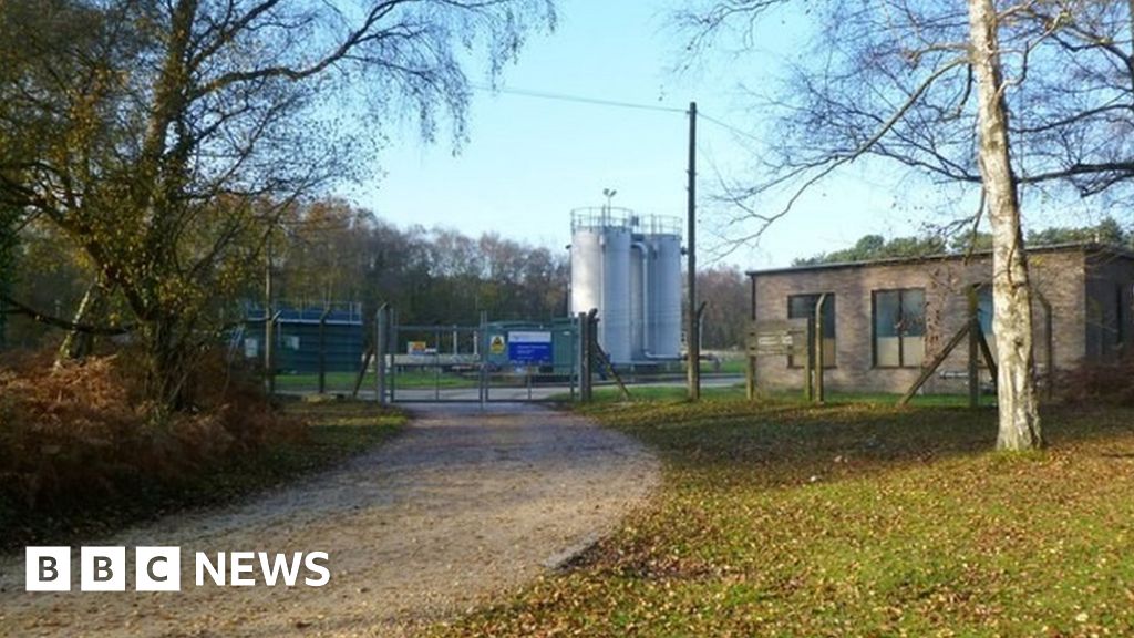 Lyndhurst sewage discharge 'lasting impact' for New Forest