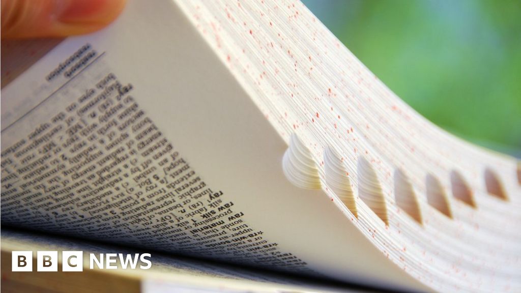 Why is 'pettifogging' suddenly in the news? - BBC News