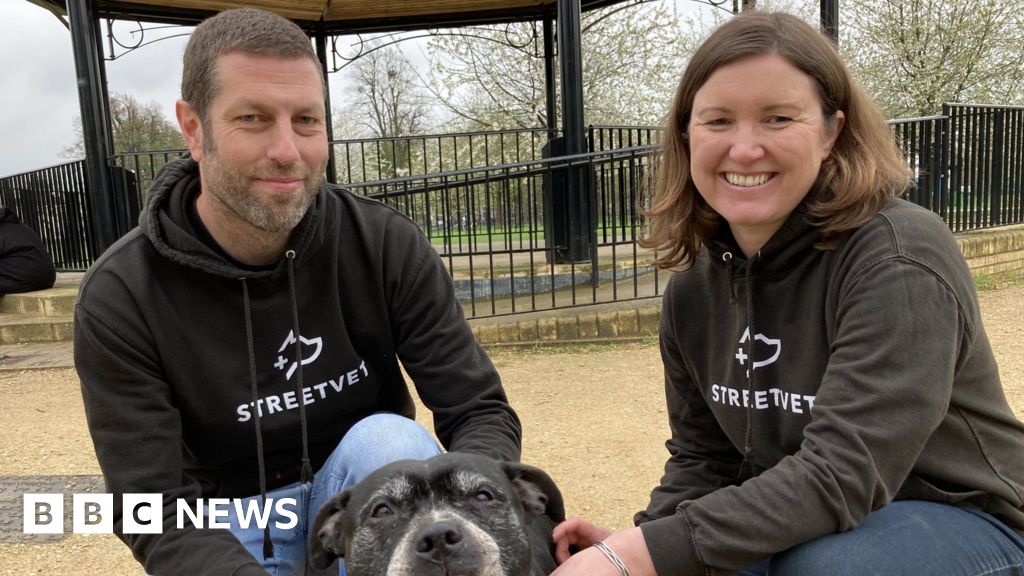 StreetVet calls for more homeless dog-friendly housing - BBC News
