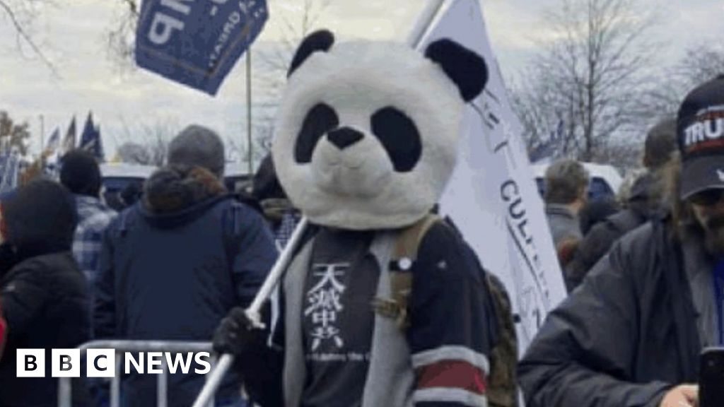 FBI arrests so-called sedition panda in 6 January Capitol riot case ...