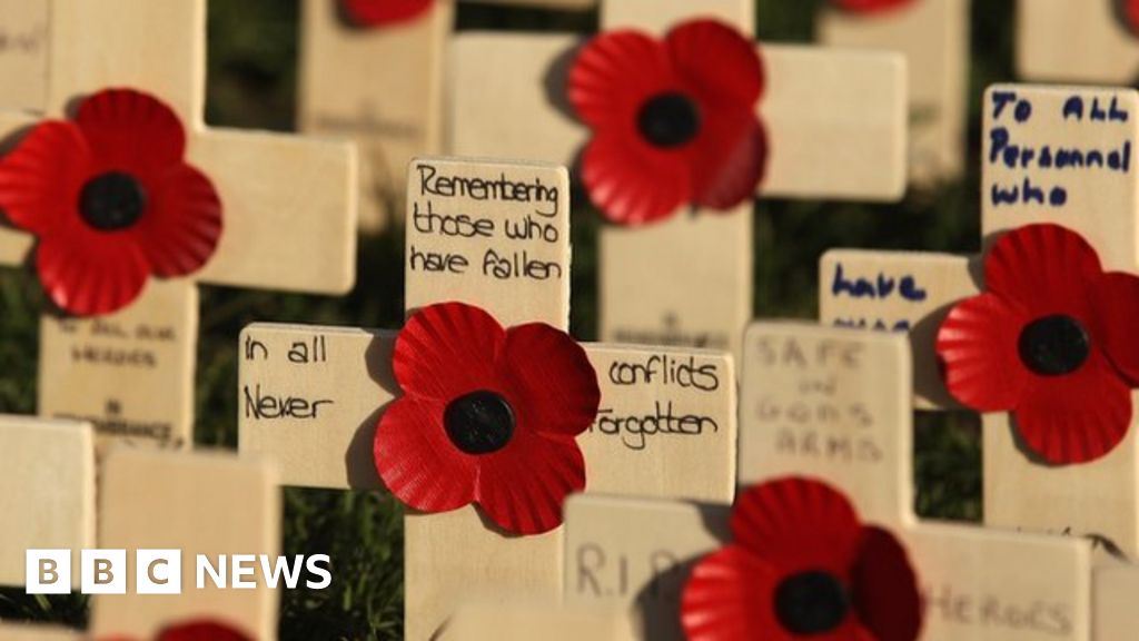 How a Remembrance Day poppy is made - BBC News