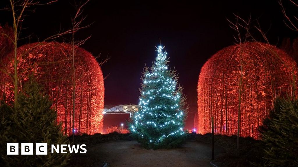 Alnwick Gardens brought to life with Winter Light Trail - BBC News