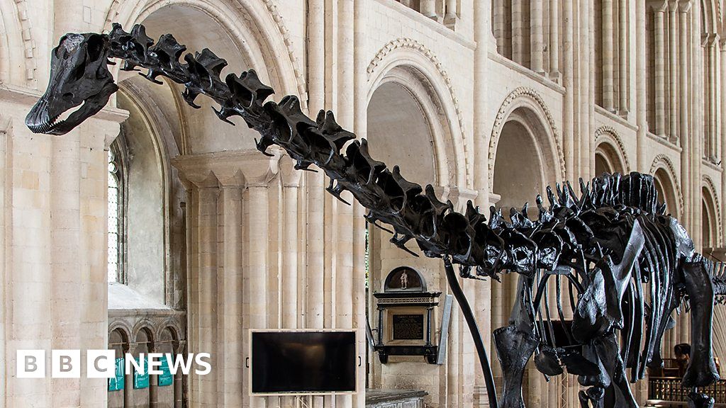 Dippy: Norwich Cathedral dinosaur installation captured in time-lapse ...
