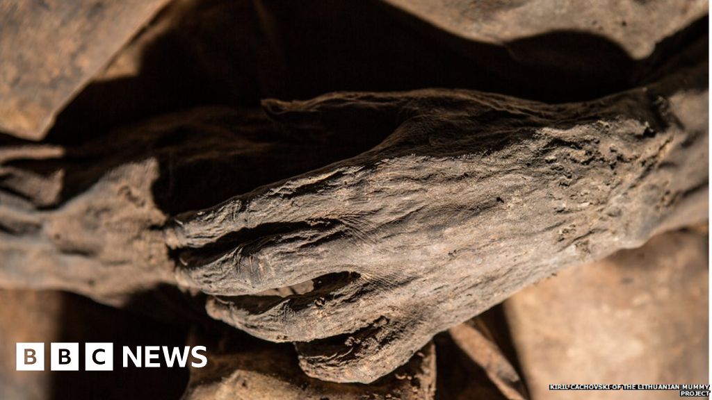 History of smallpox called into question - BBC News