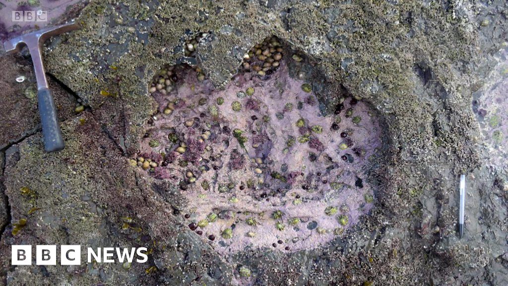 Skye boasts world-class dinosaur prints - BBC News