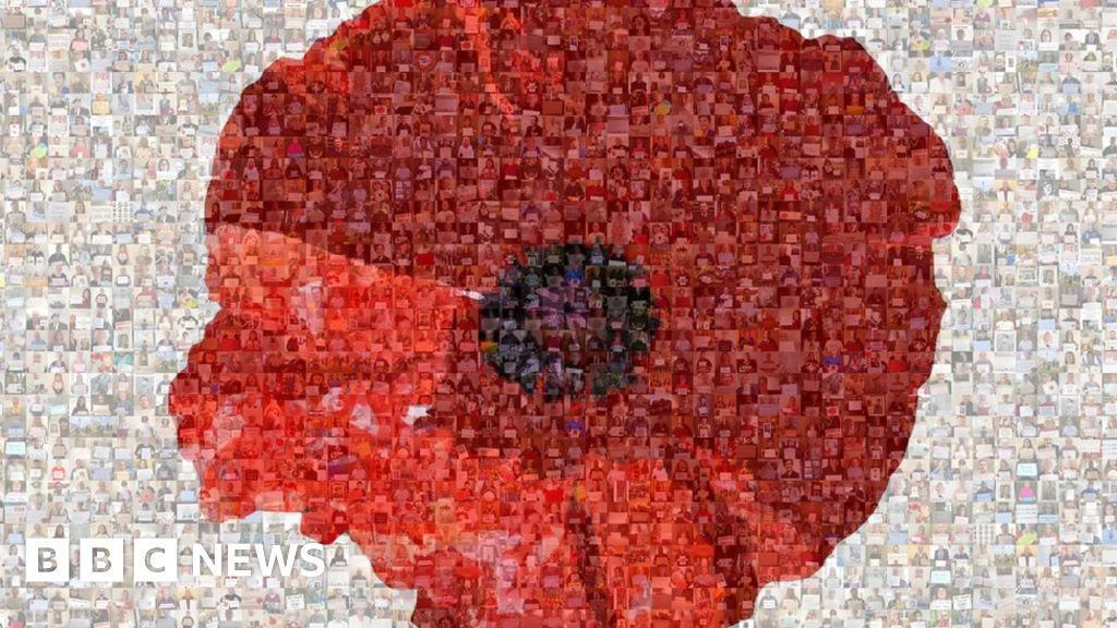 Giant poppy mosaic of thank you notes marks Remembrance Day - BBC News