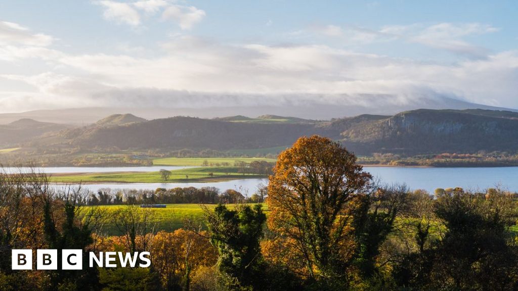 NI weekly papers: Strabane brawl and border time zones - BBC News