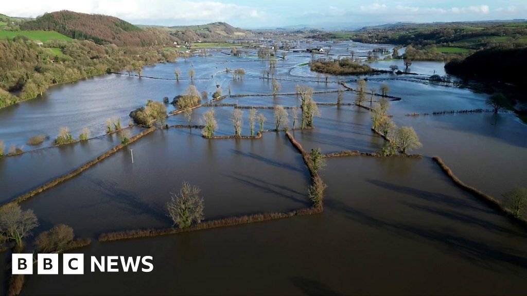 River Tywi: Farm surrounded by floodwater as more rain due - BBC News