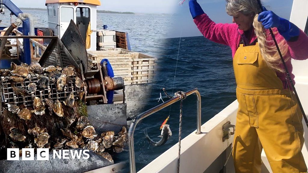 Coronavirus: Fishing 'struggling to survive' lockdown - BBC News