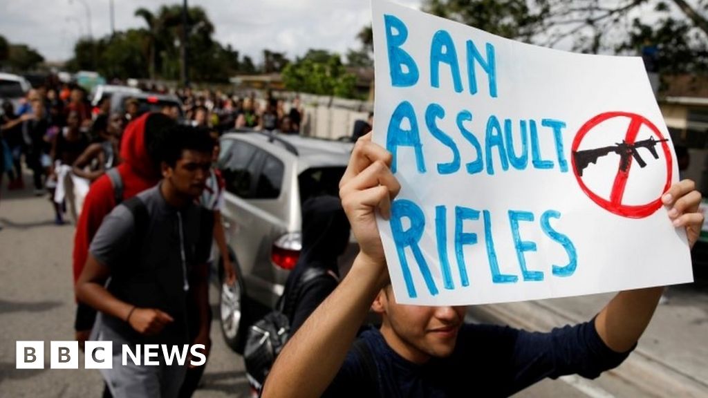 Florida shooting: Gun control law moves step closer - BBC News